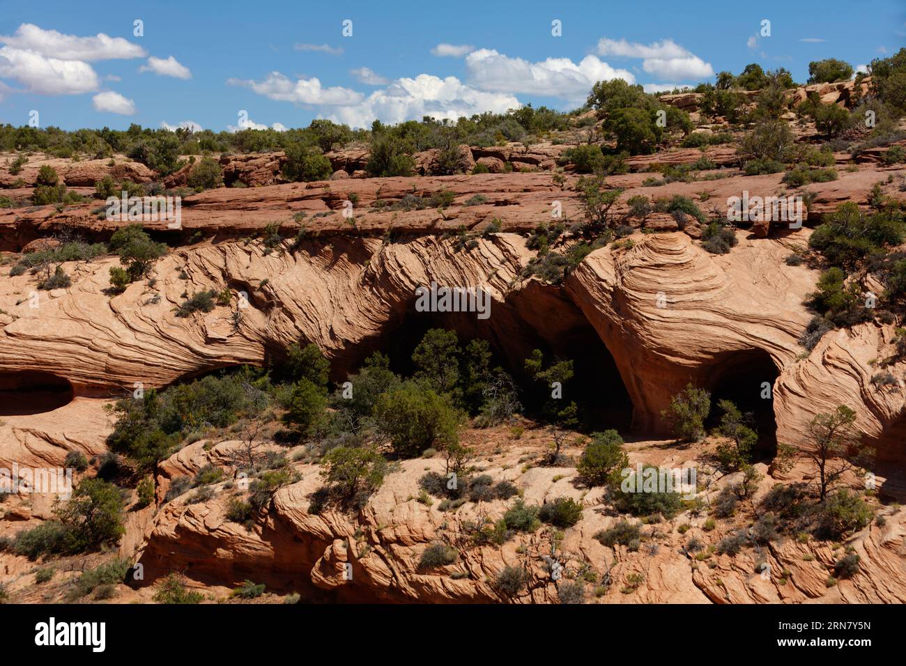 Rock formations and caves at Antelope House Overlook on the North Rim ...