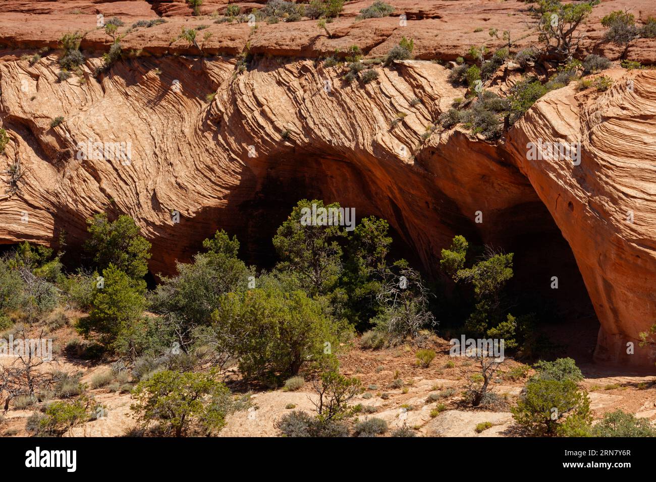 Rock formations and caves at Antelope House Overlook on the North Rim ...