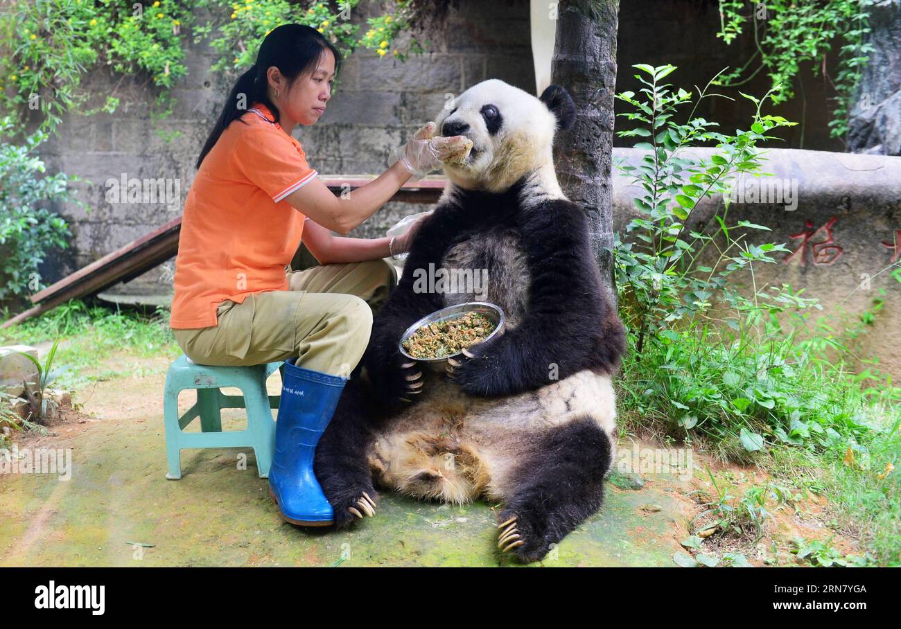 1990 san diego hi-res stock photography and images - Alamy