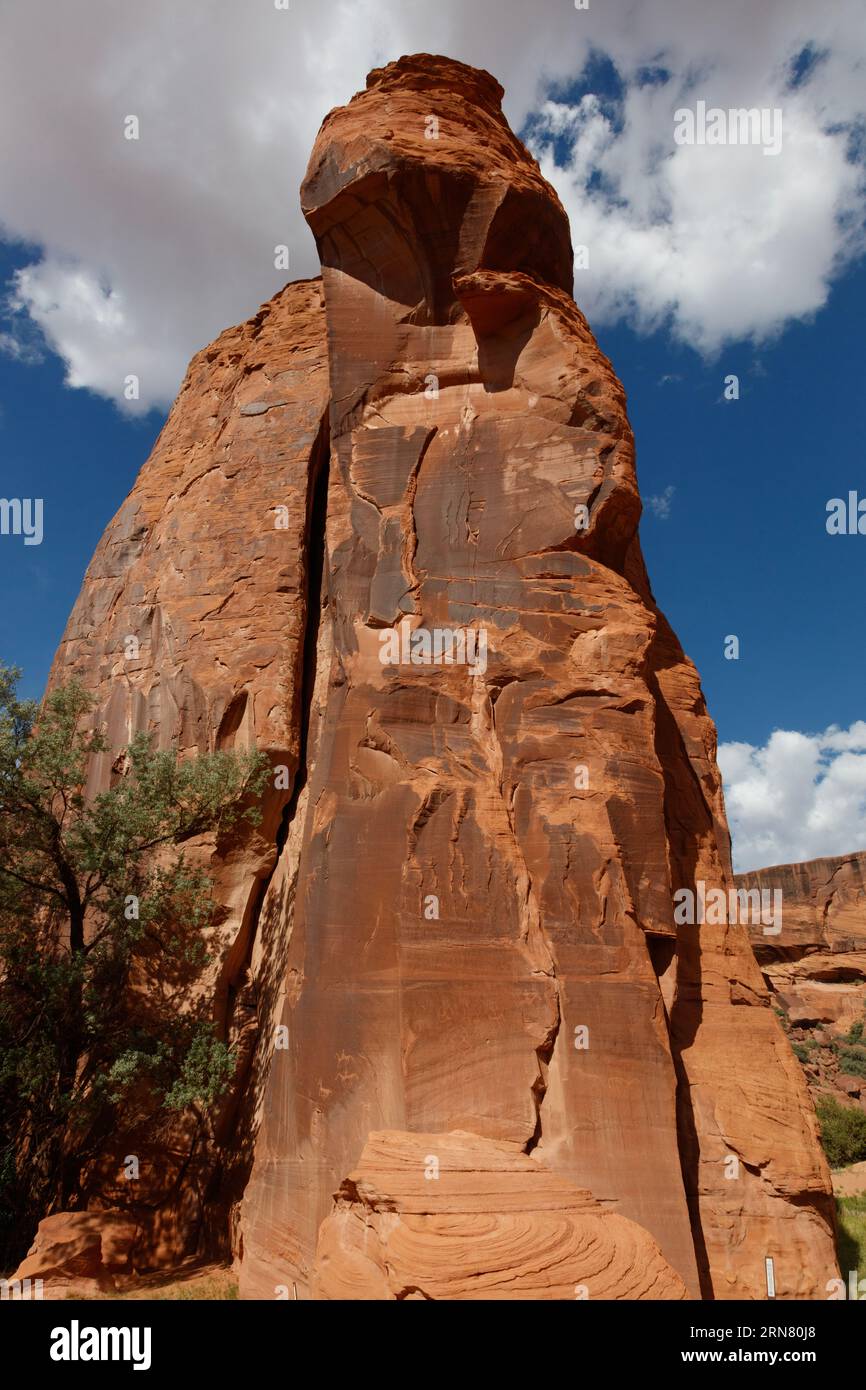 Landscape of sculpted rock formation as seen from the bottom of Canyon ...