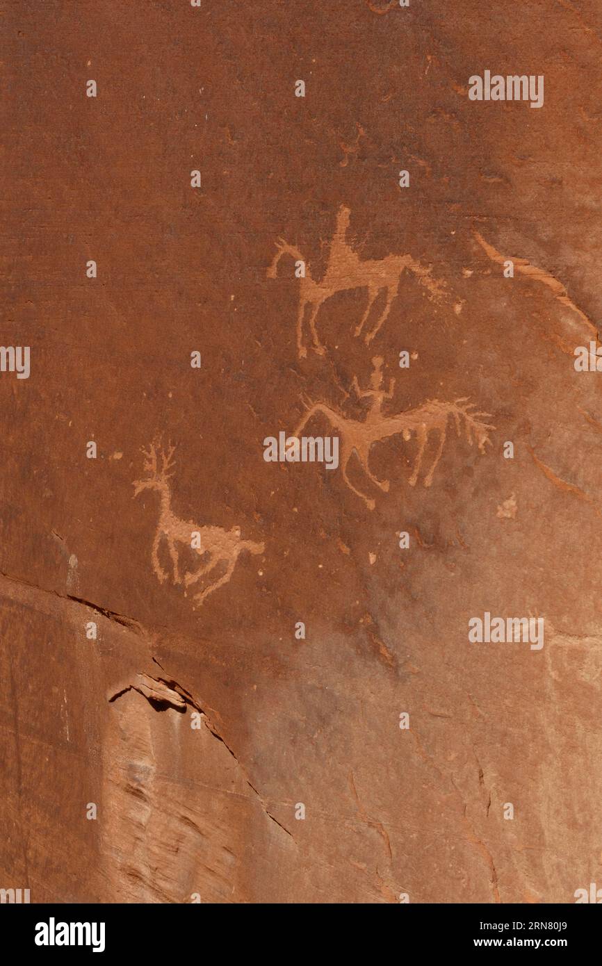 Anasazi Hunting