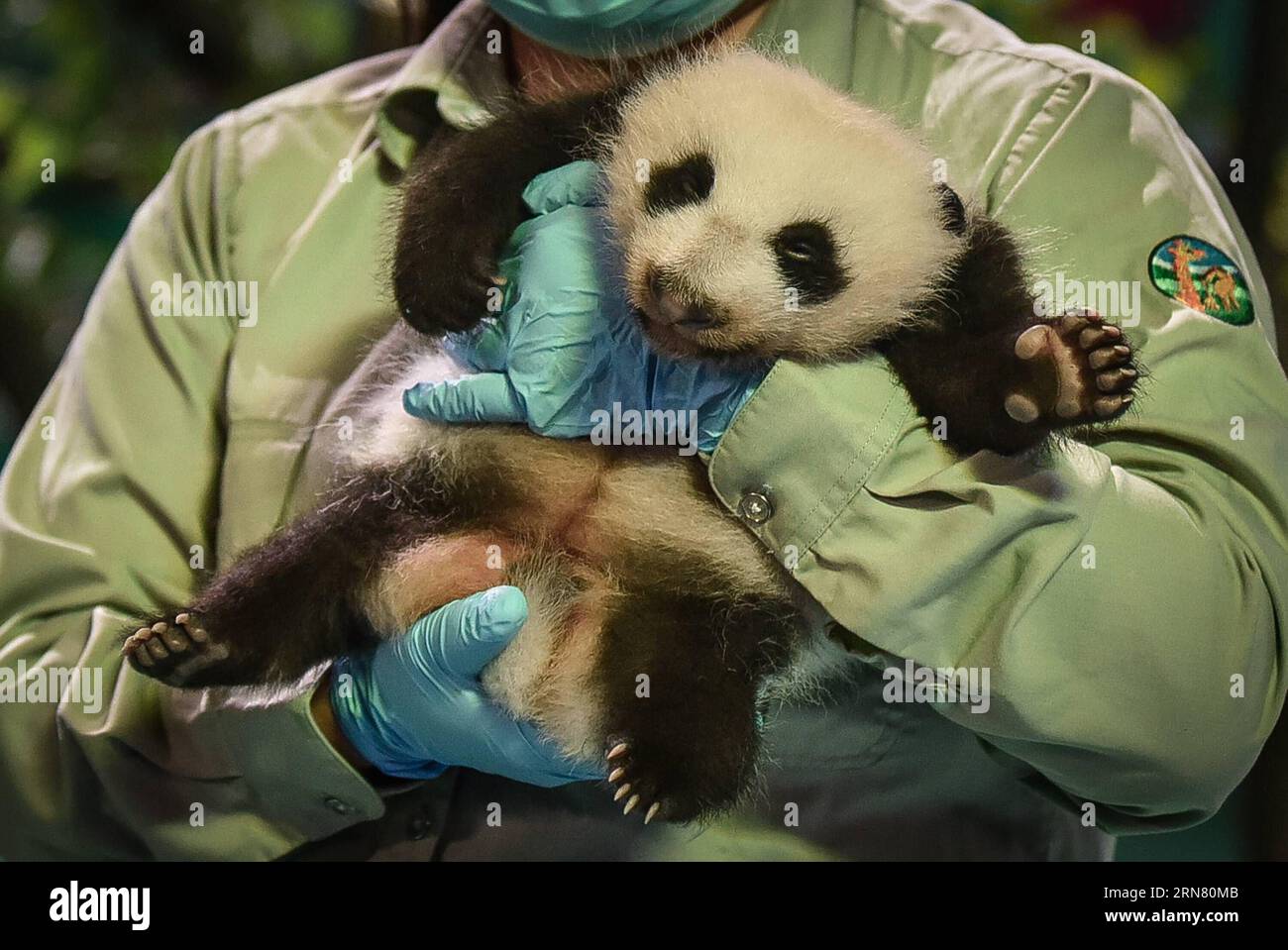 (150928) -- GUANGZHOU, Sept. 28, 2015 -- Photo taken on Sept. 28, 2015 ...