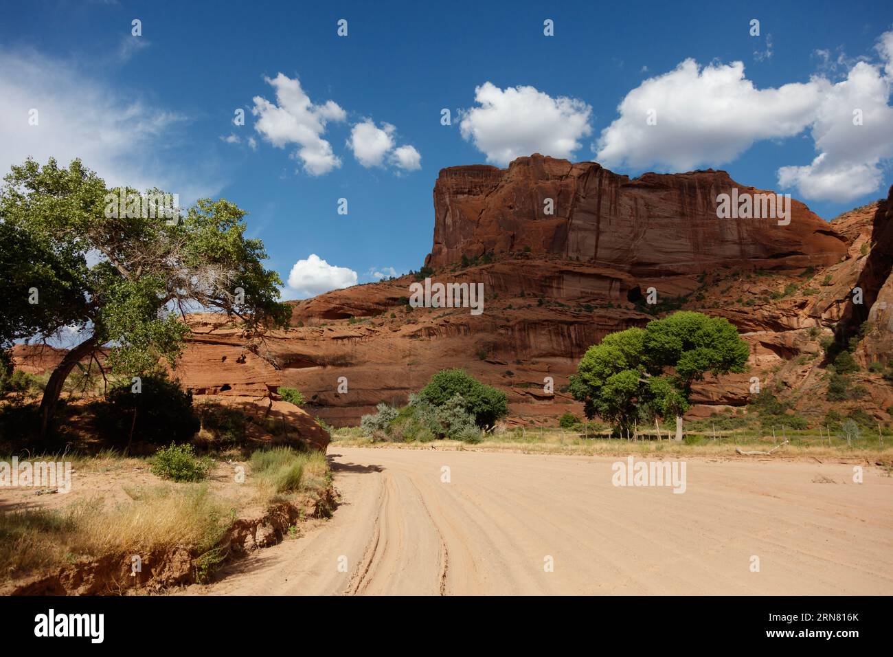 Landscape of sculpted rock formation as seen from the bottom of Canyon ...