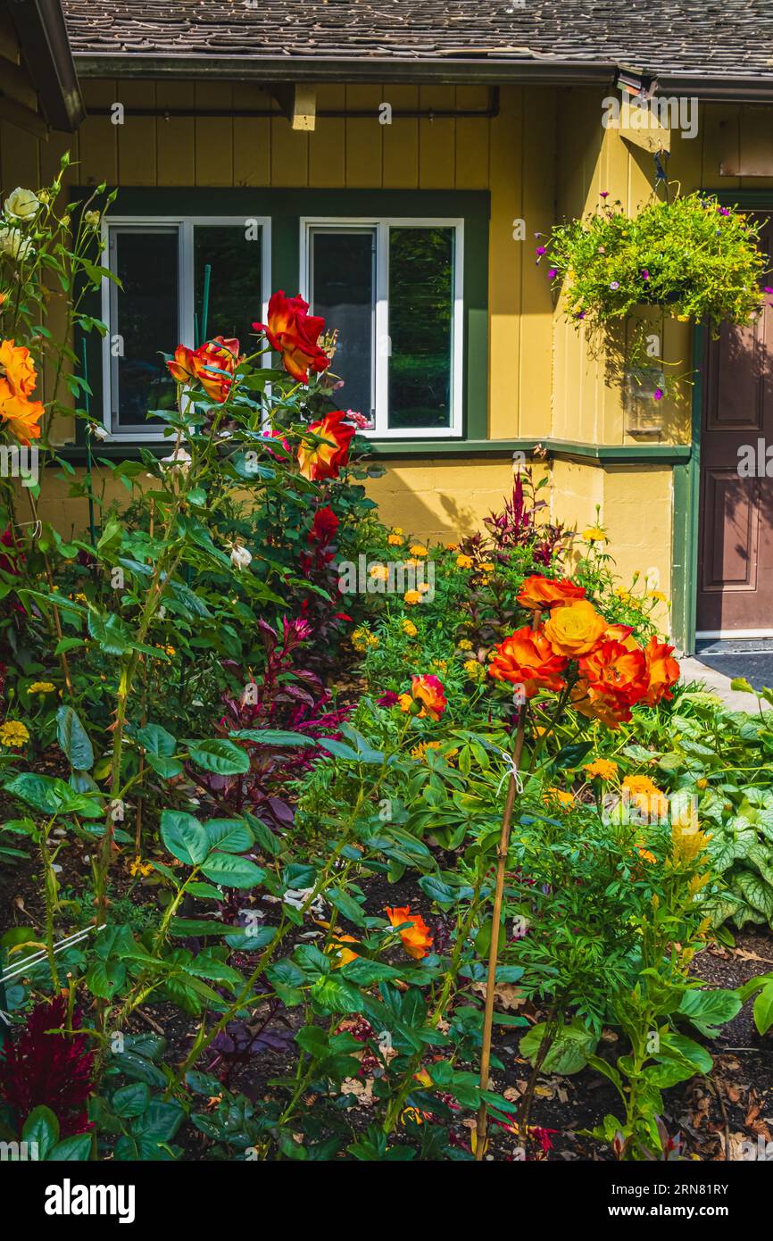 Entrance to a home through a beautiful garden with colorful flowers ...