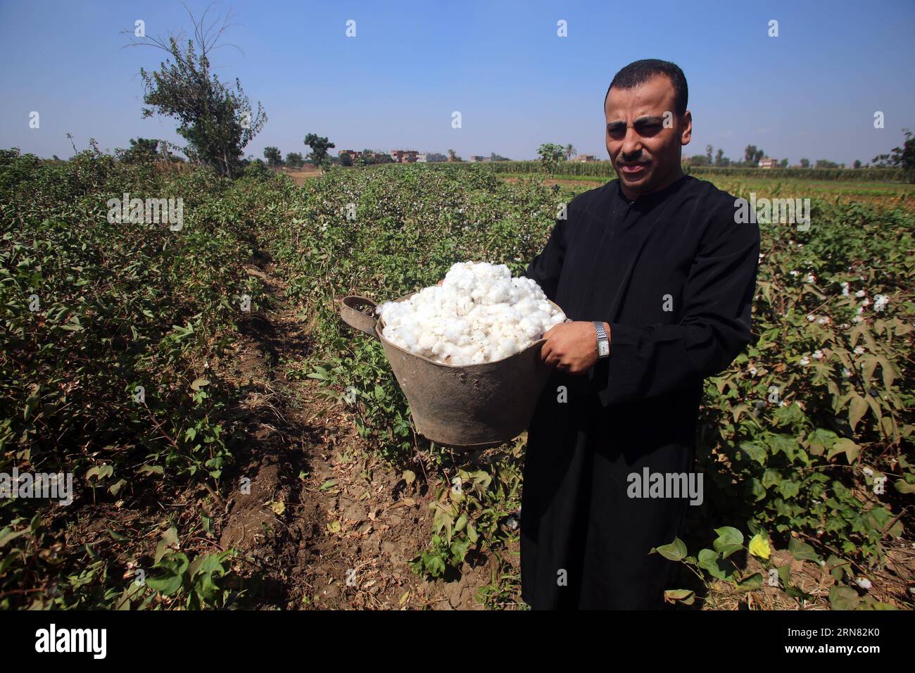 Monufiaegypt hi-res stock photography and images - Alamy