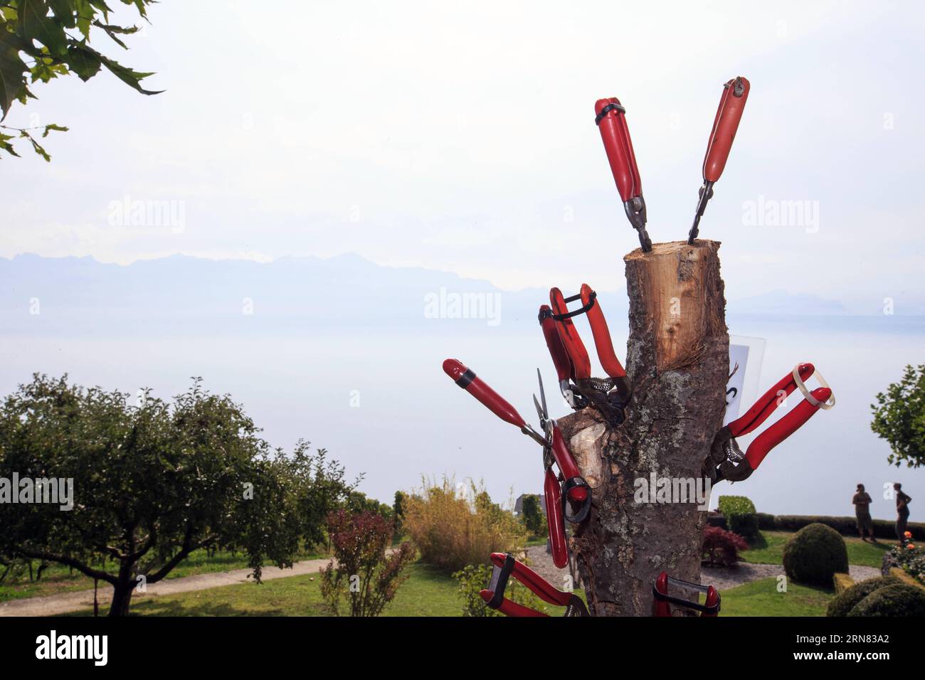Chollet hi-res stock photography and images - Alamy