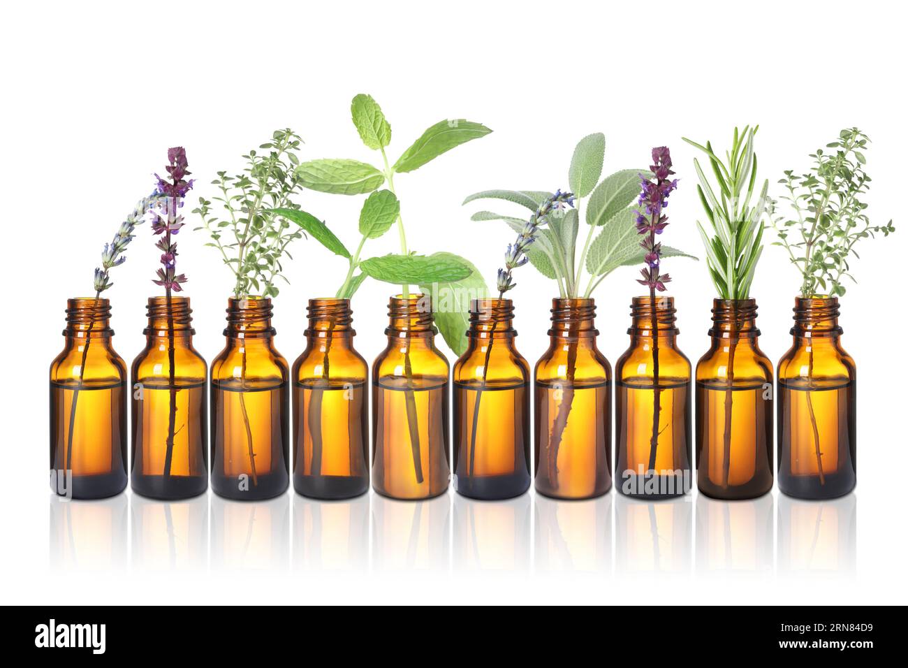 Set of different essential oils with herbs isolated on white Stock ...