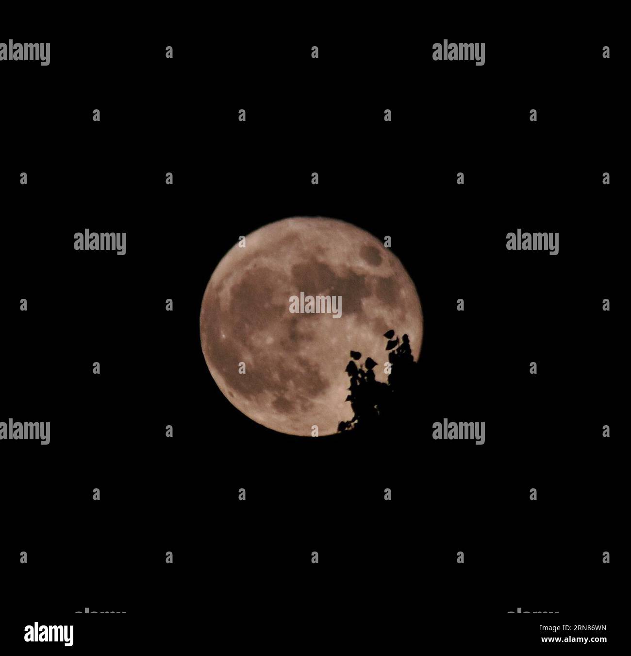 The super blue moon is seen in Srinagar, the Summer capital of Indian ...