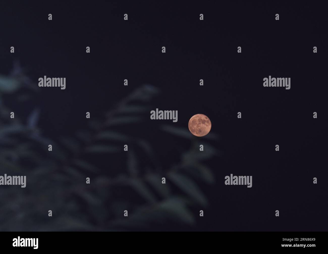 The super blue moon is seen in Srinagar, the Summer capital of Indian ...