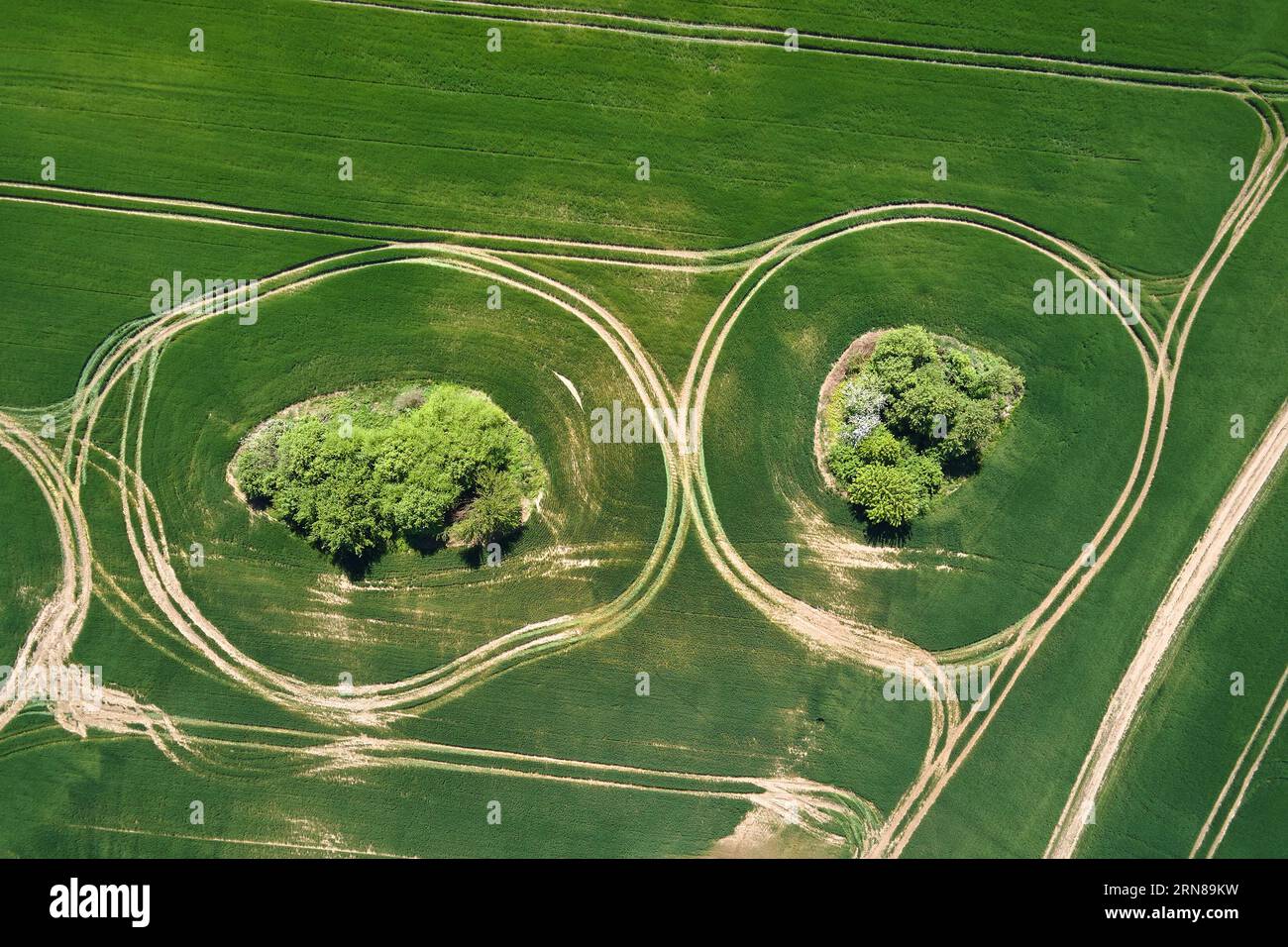 Aerial landscape of green farmland in summer season with growing crops ...