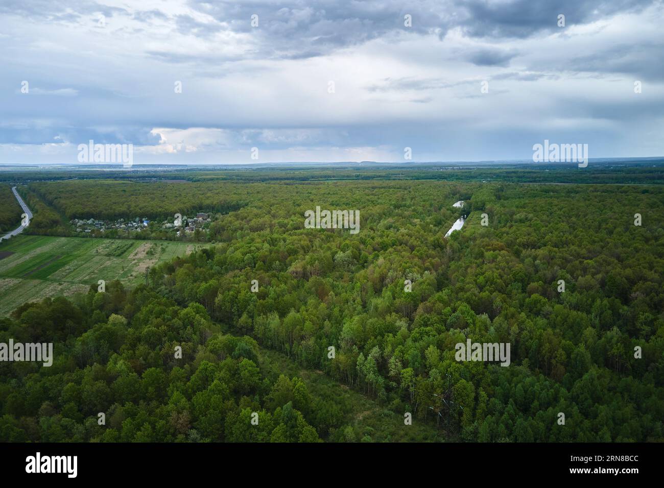 Aerial view of dark green lush forest with dense trees canopies in ...