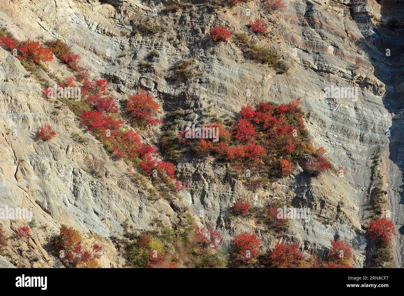Crimson falls hi-res stock photography and images - Alamy