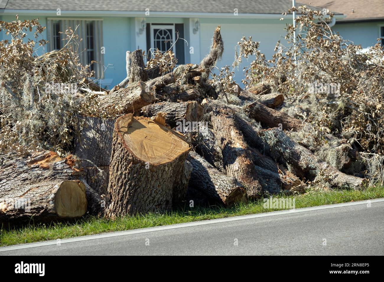 Total deforestation hi-res stock photography and images - Alamy