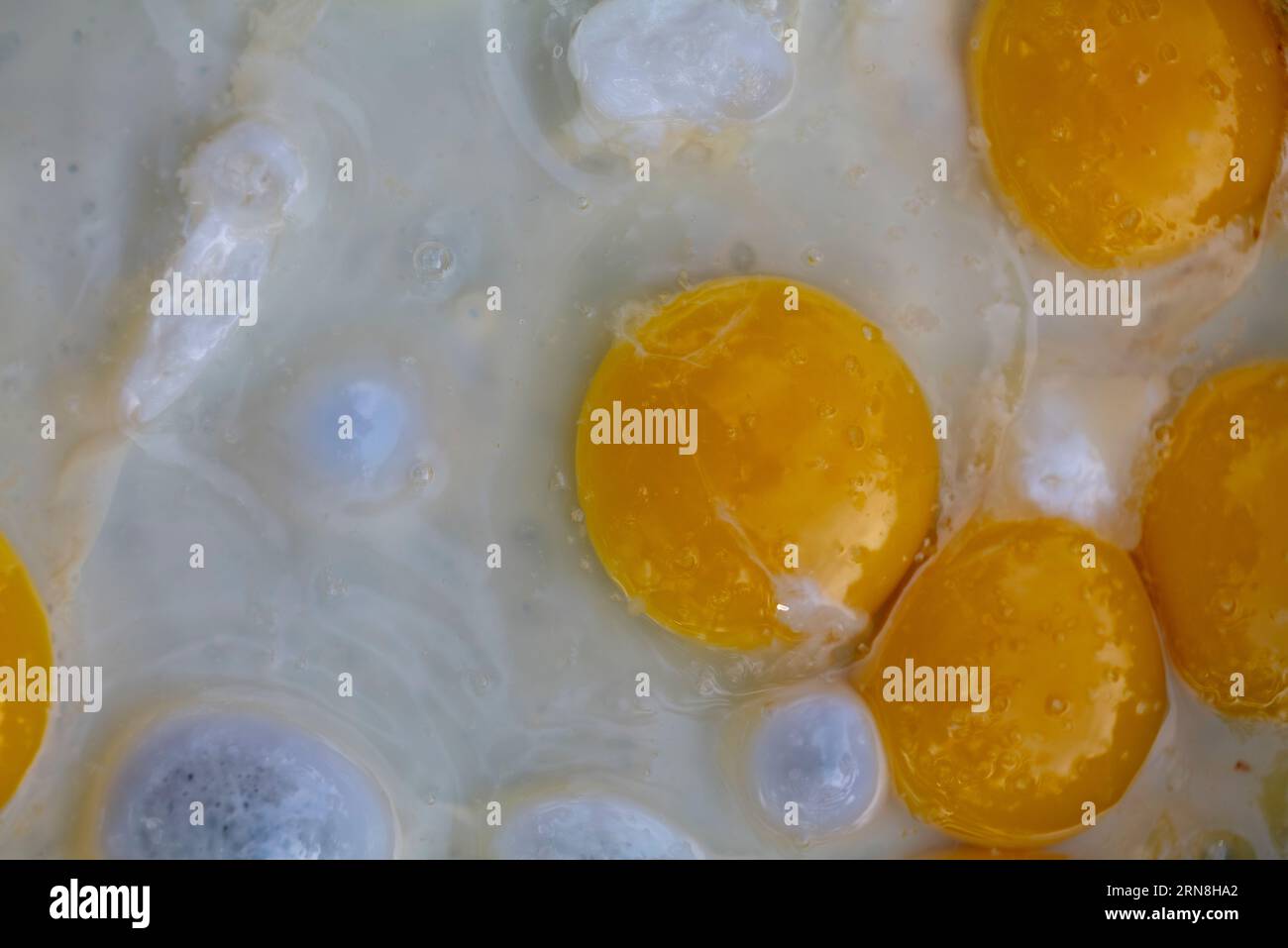 Two fried eggs sunny hi-res stock photography and images - Alamy