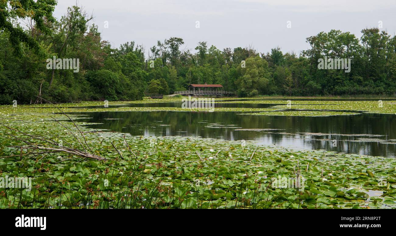 Robert H. Long Nature Park is located north of Novi near the town of ...