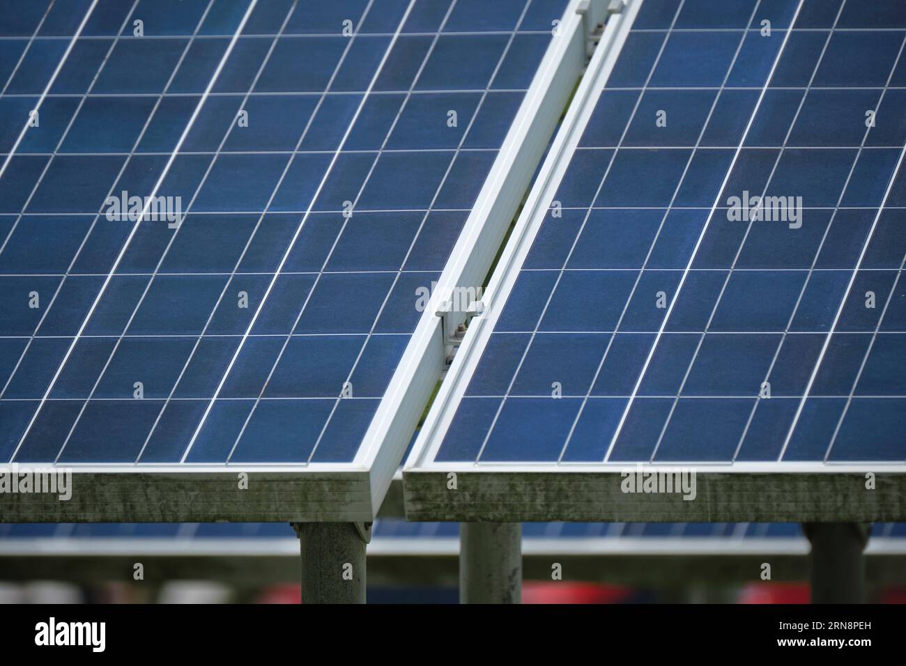 Solar photovoltaic panels mounted on stand-alone frame on backyard ...