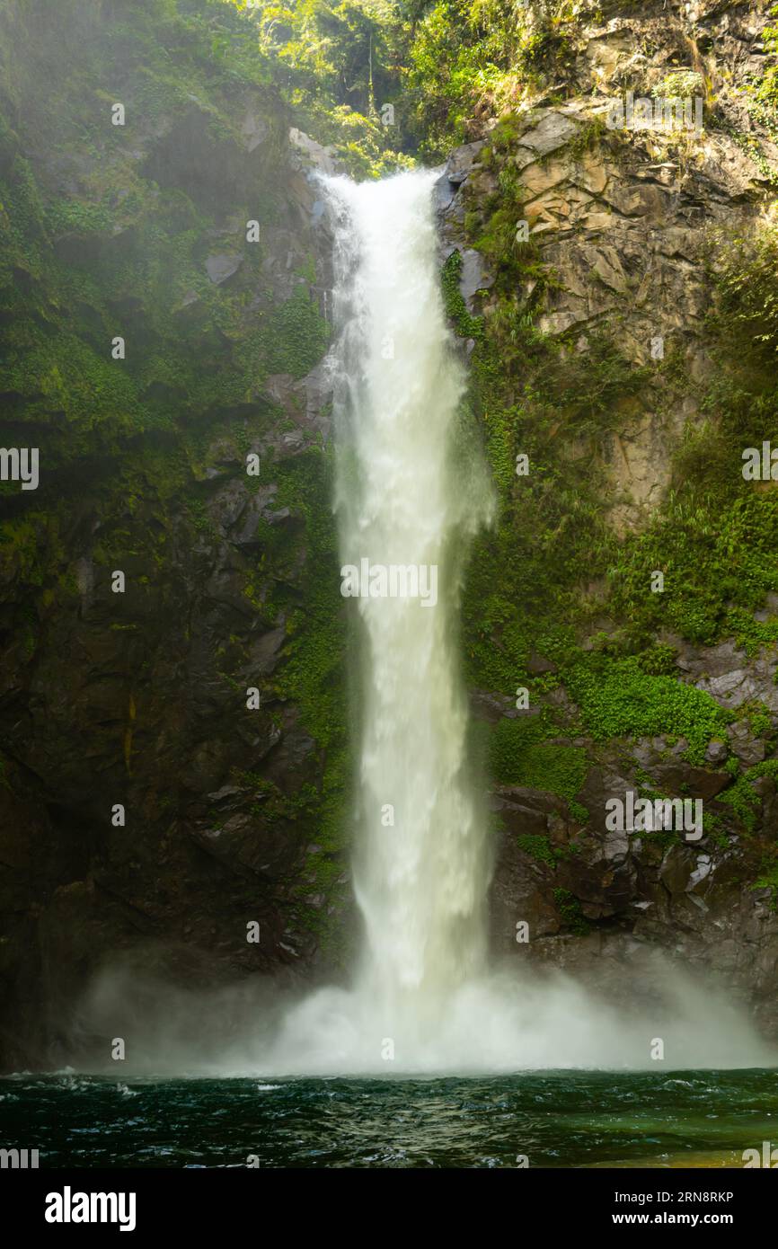 Tappiyah tropical waterfall in Batad, Philippines, vertical image with ...