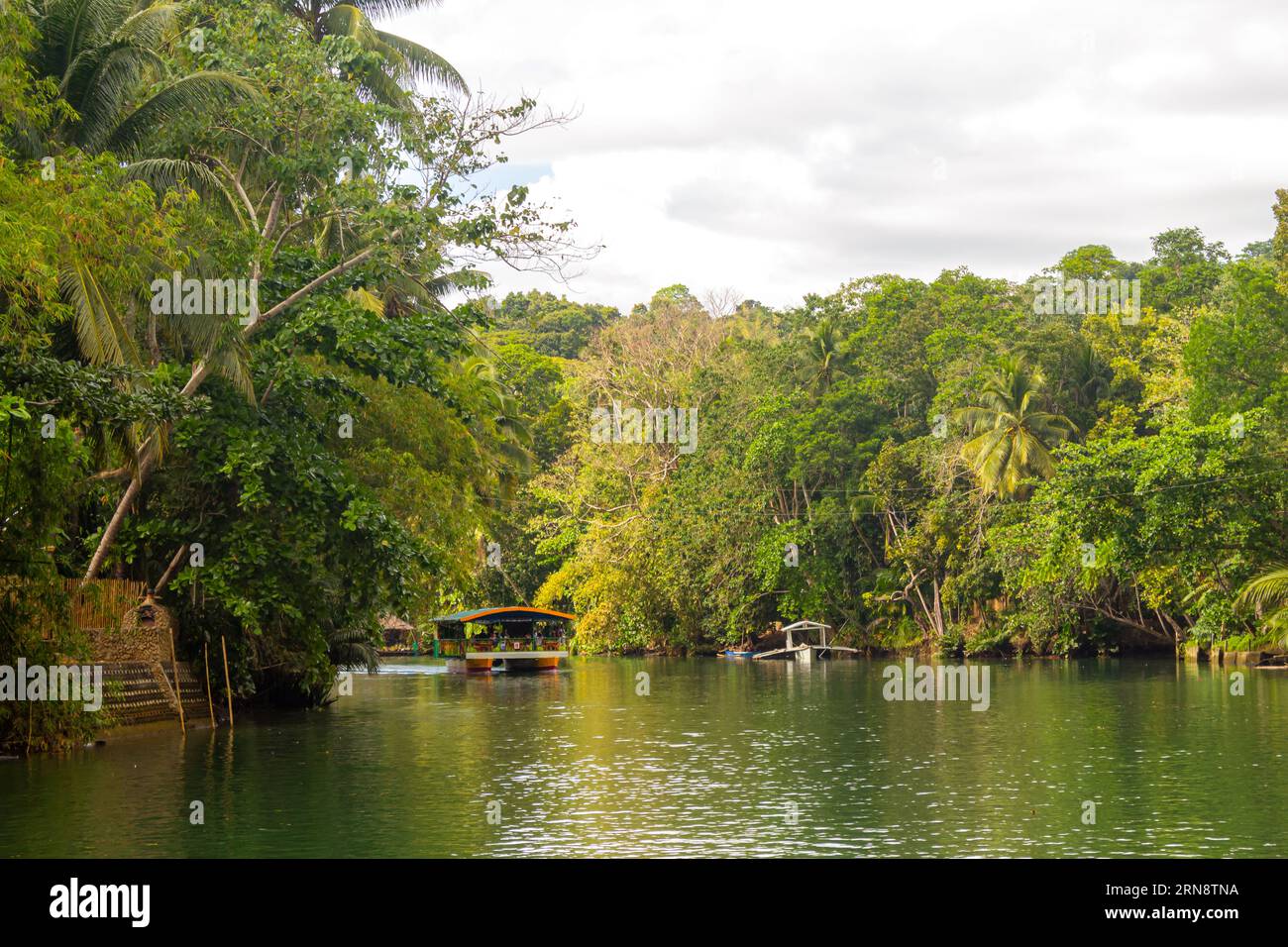 Tropical jungle river - Loboc river. Bohol, Philippines Stock Photo - Alamy