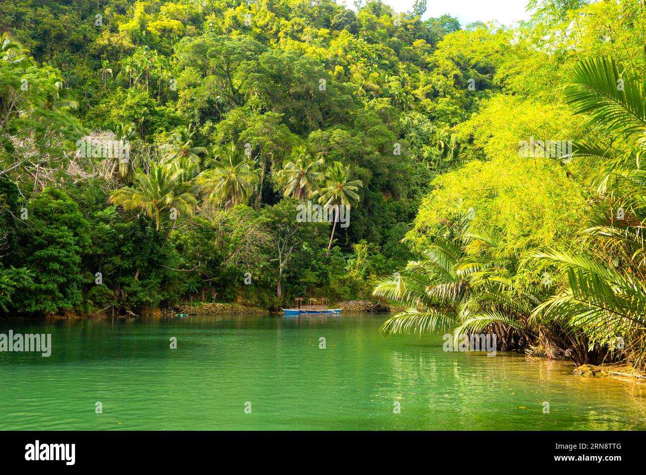 View of jungle green river Loboc at Bohol island of Philippines Stock ...