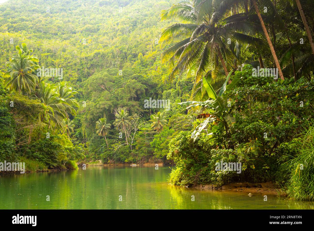 The Loboc River also called Loay River is a river in the Bohol, the ...