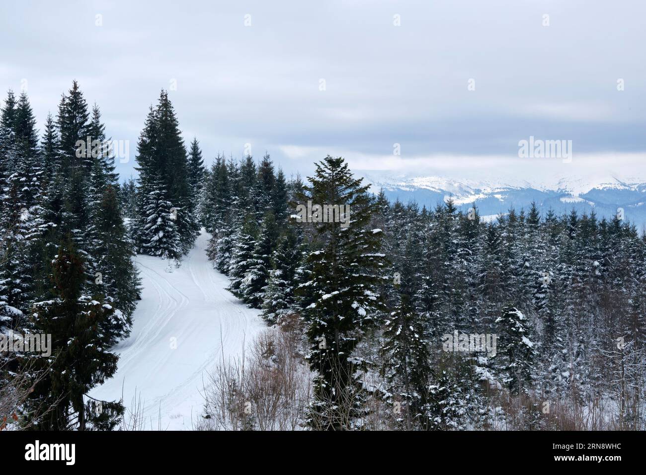 Barren january landscape hi-res stock photography and images - Alamy