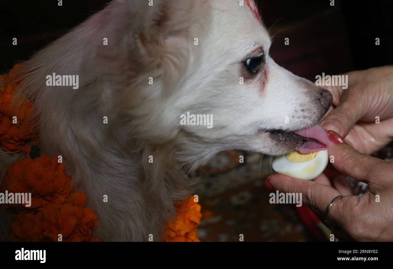 Tihar food hi-res stock photography and images - Alamy