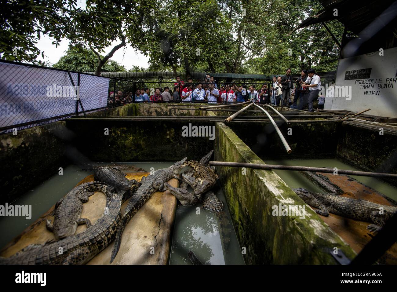 People watch some crocodiles waiting for food at a crocodile enclosure ...