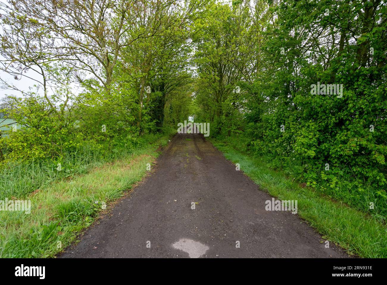 Country Roads in the Uk Stock Photo - Alamy