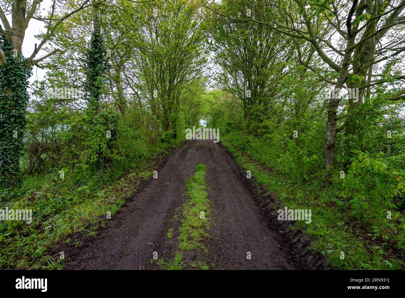 Country Roads in the Uk Stock Photo - Alamy