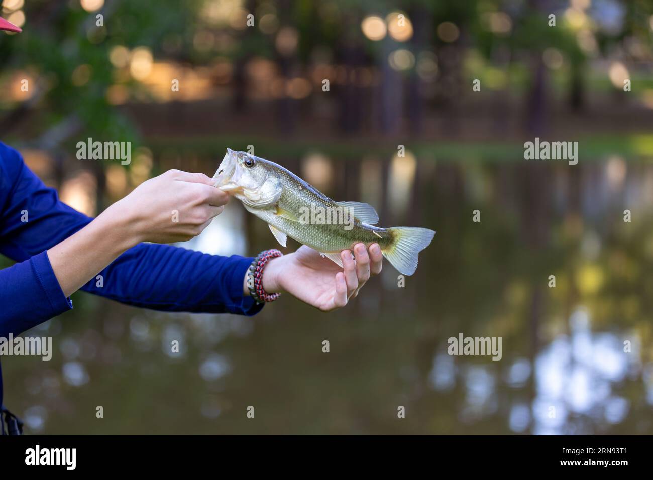 Fisherman releasing fish hi-res stock photography and images - Alamy