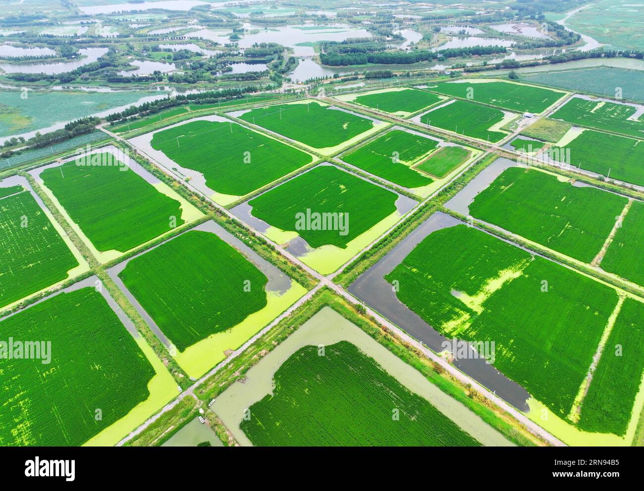 **CHINESE MAINLAND, HONG KONG, MACAU AND TAIWAN OUT** Aerial photo ...