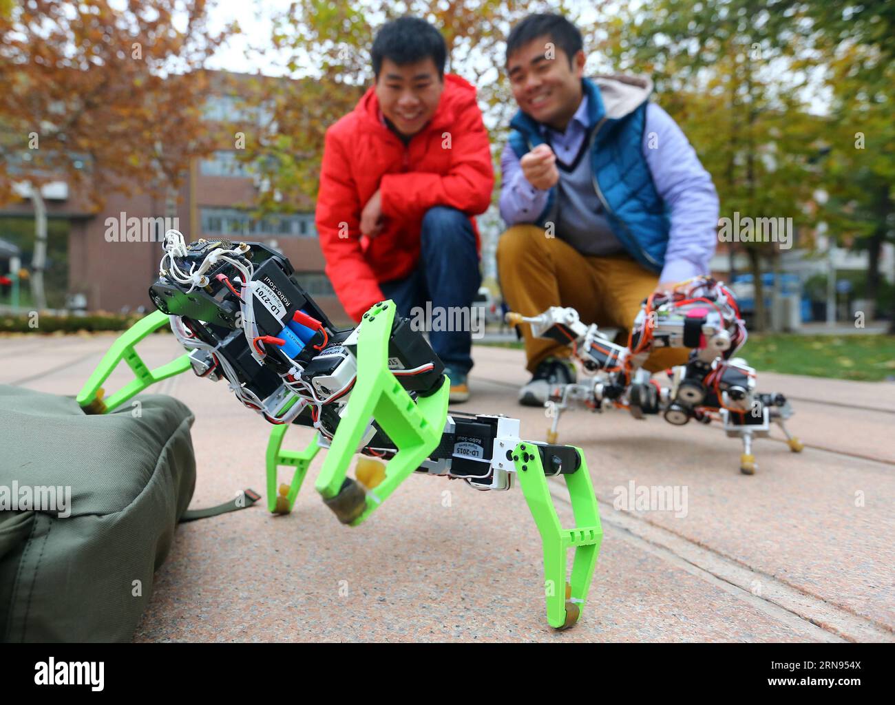 (151119) -- TIANJIN, Nov. 19, 2015 -- Photo taken on Nov. 19, 2015 ...