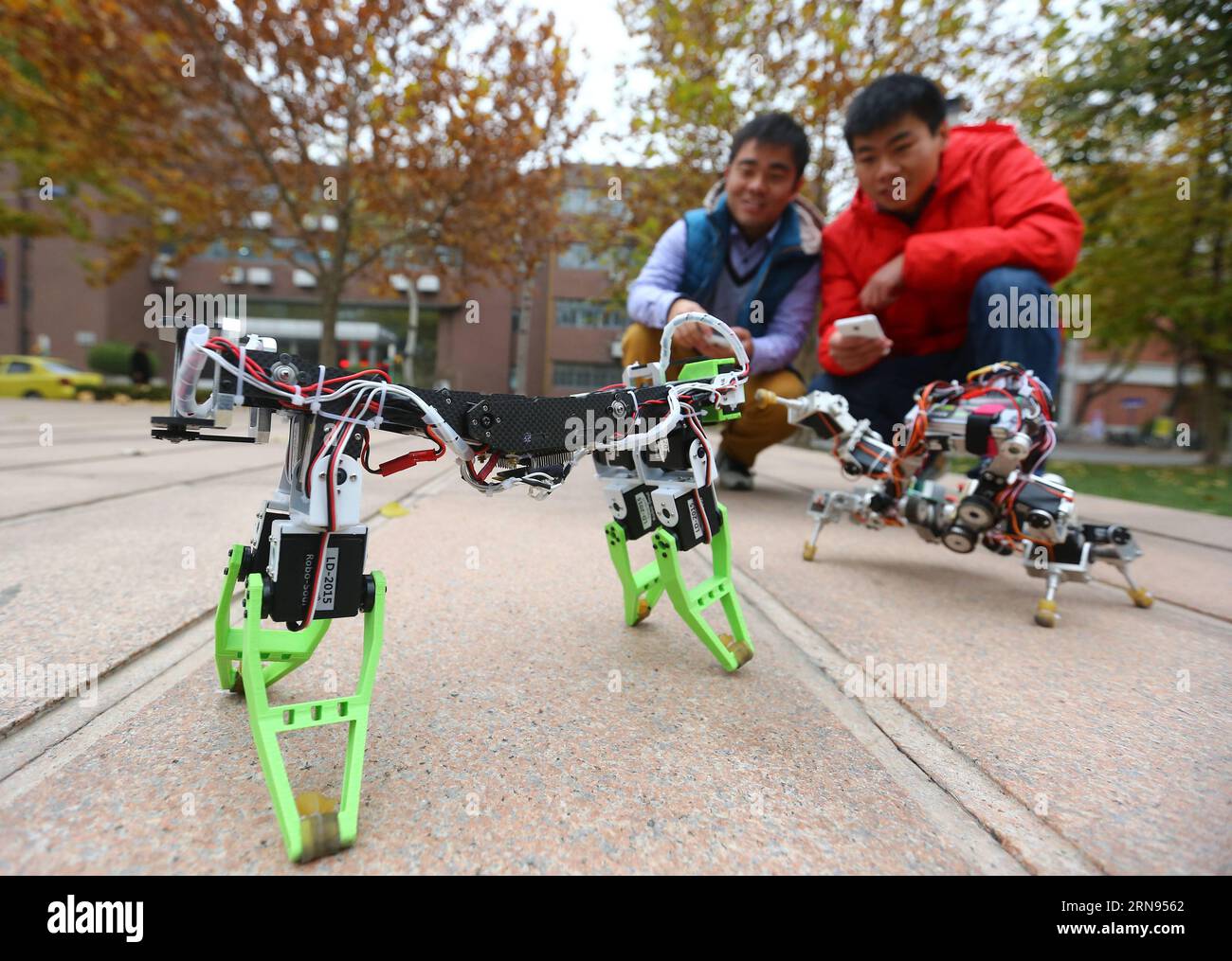 (151119) -- TIANJIN, Nov. 19, 2015 -- Photo taken on Nov. 19, 2015 ...