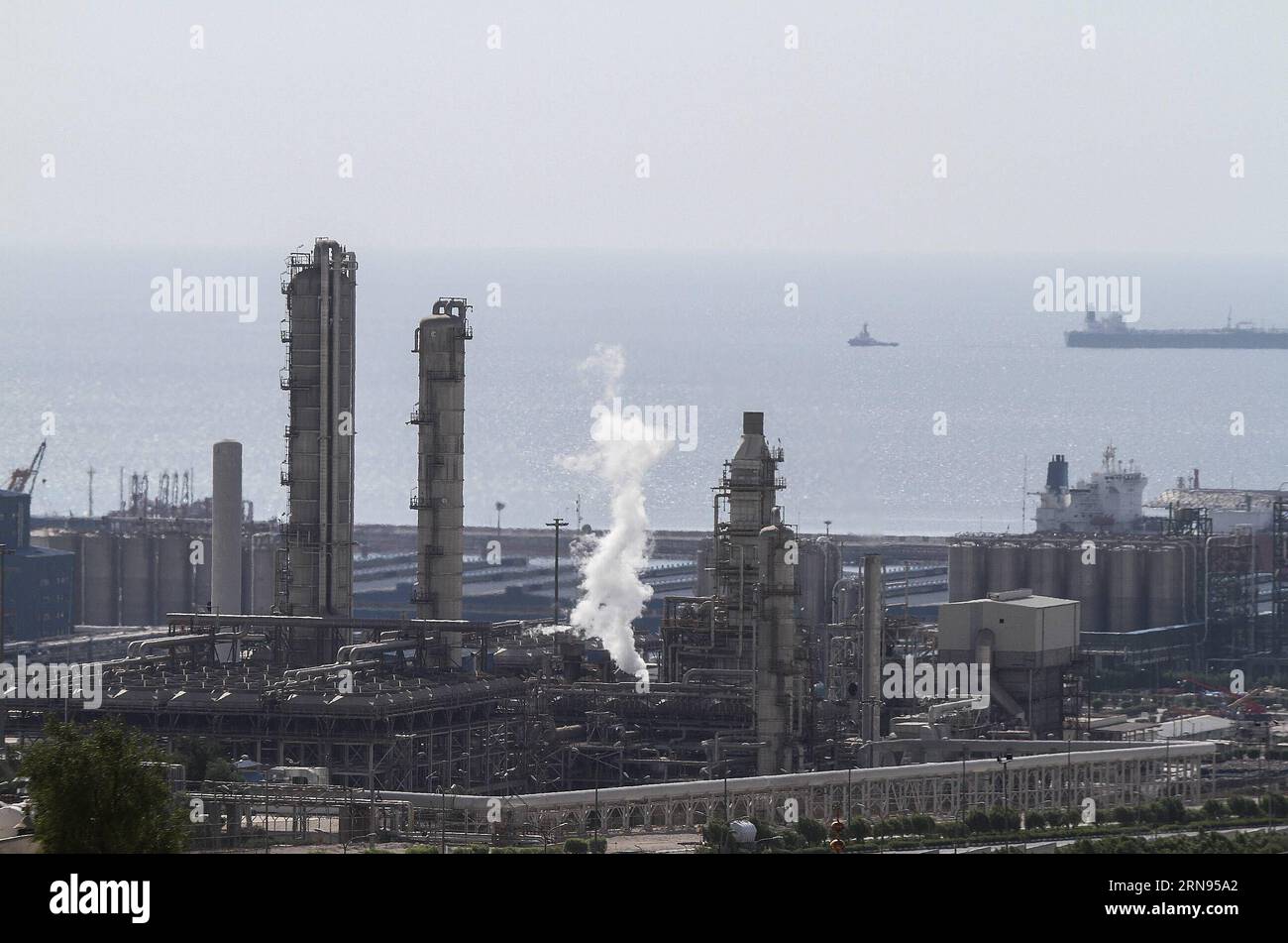 (151119) -- TEHRAN, Nov. 19, 2015 -- Photo taken on Nov. 19, 2015 shows ...