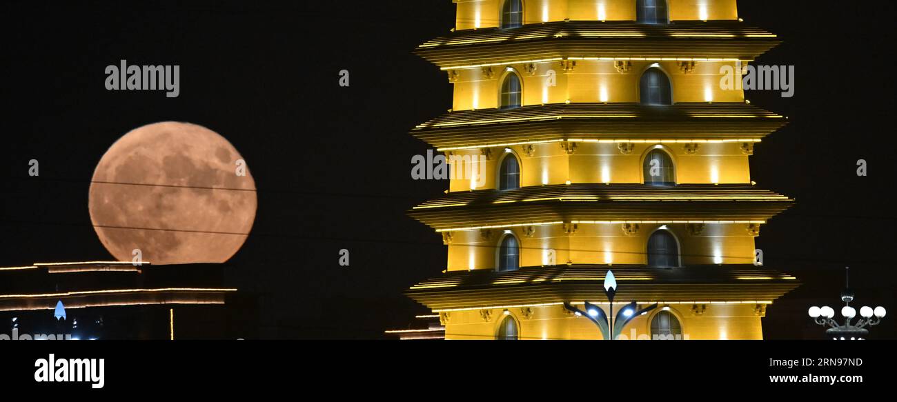 Korla, China. 01st Sep, 2023. KORLA, CHINA - AUGUST 31, 2023 - Photo ...