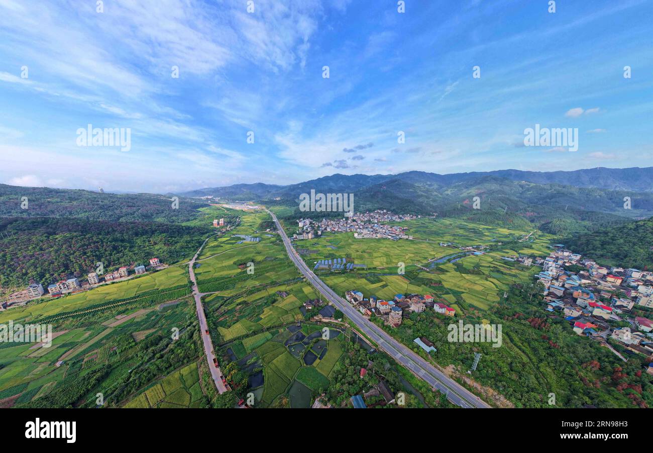 Aerial photo shows the early autumn scenery of rice fields in Congjiang ...