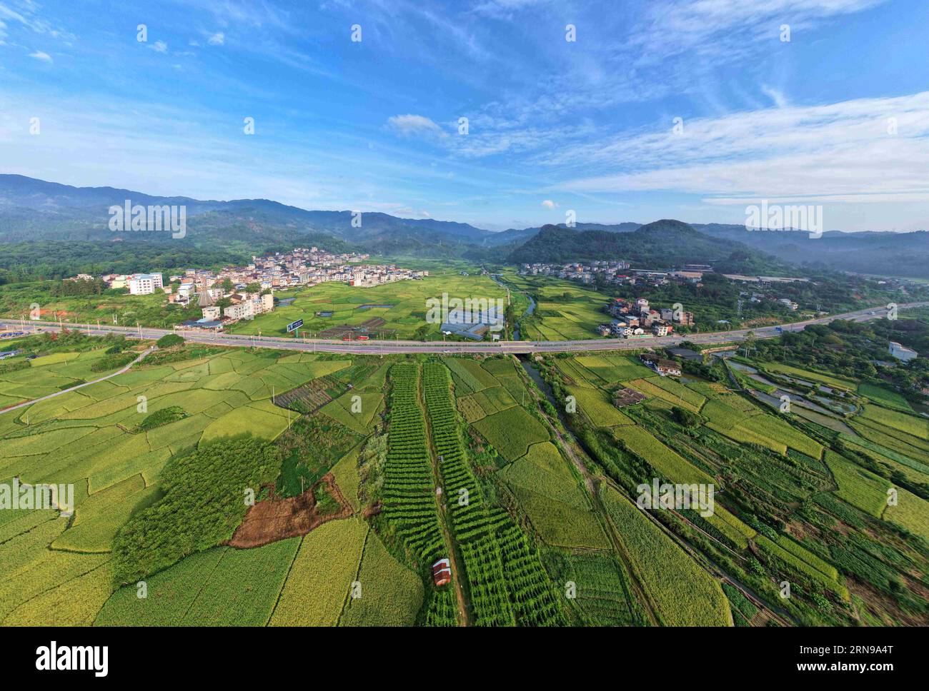 Aerial photo shows the early autumn scenery of rice fields in Congjiang ...