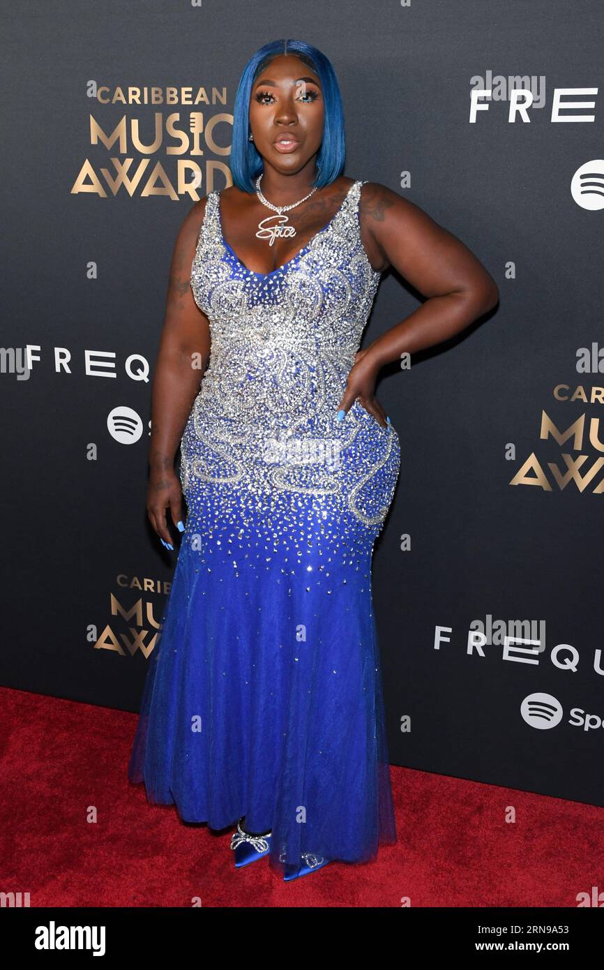 Brooklyn, USA. 31st Aug, 2023. Spice, Grace Latoya Hamilton, attending ...