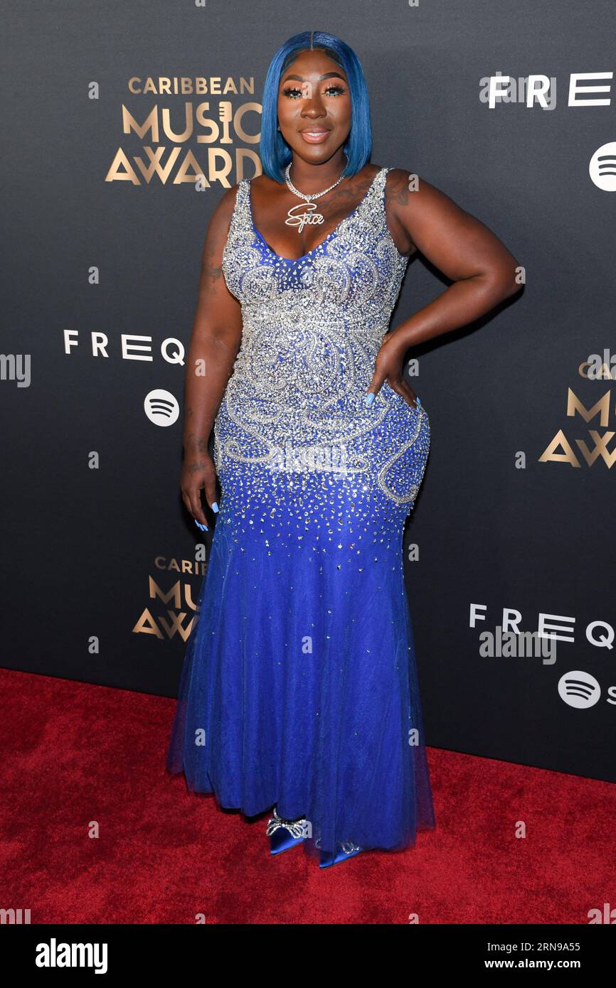 Brooklyn, USA. 31st Aug, 2023. Spice, Grace Latoya Hamilton, attending ...