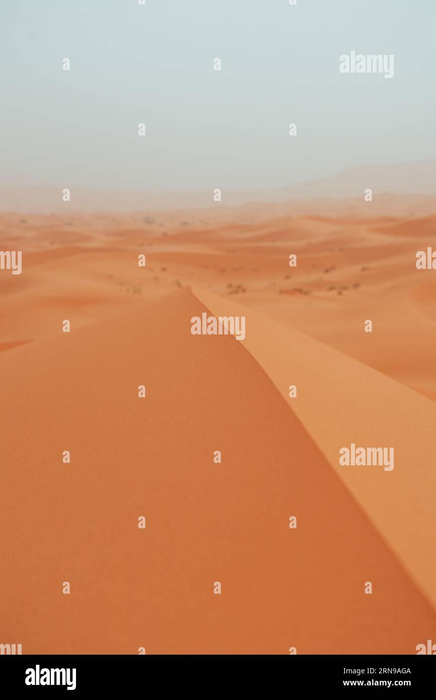 Sand texture during sunrise, Sahara Desert Merzouga, Morocco landscape ...