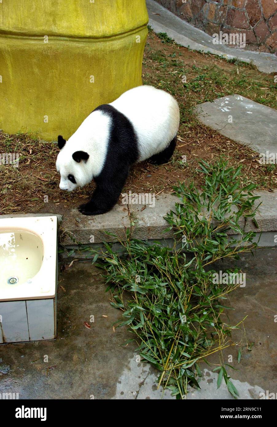 (151128) -- FUZHOU,2015 -- File photo taken on Nov. 28, 2005 shows ...