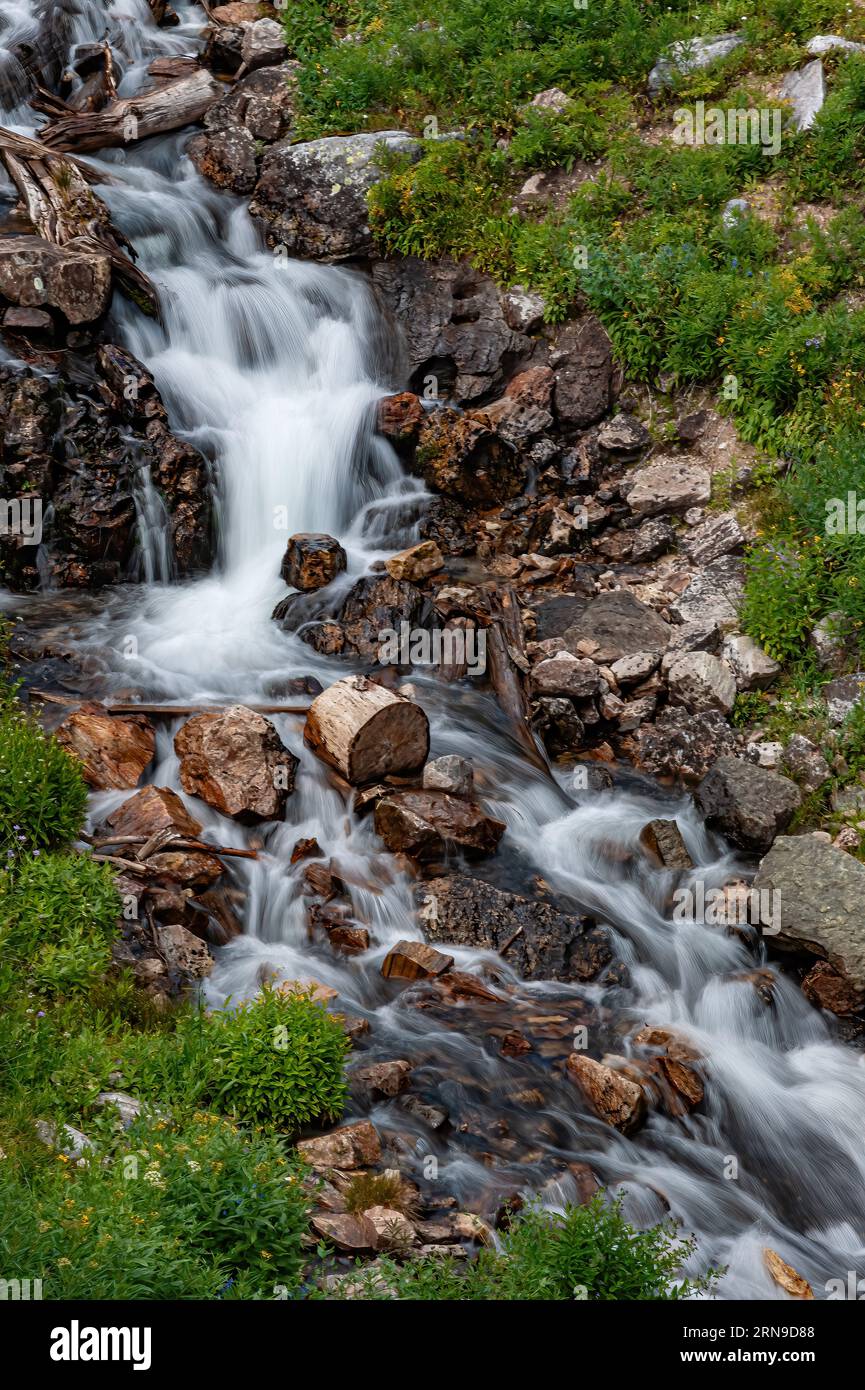 A cascade on South French Creek creates a pool below where trout ...