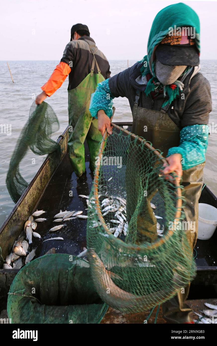 HUZHOU, Photo taken on Dec. 1, 2015 shows fisherman Song Boliang (L ...