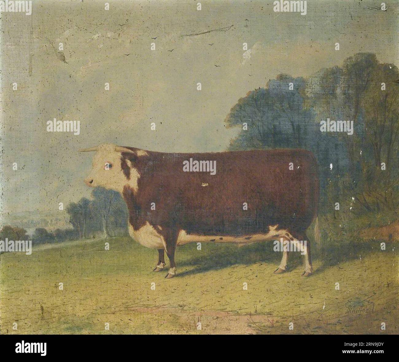 A Prize Bull in a Wooded River Landscape 1878 by Richard Whitford Stock ...