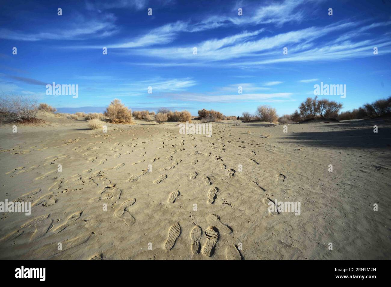 Irrigation syr darya hi-res stock photography and images - Alamy