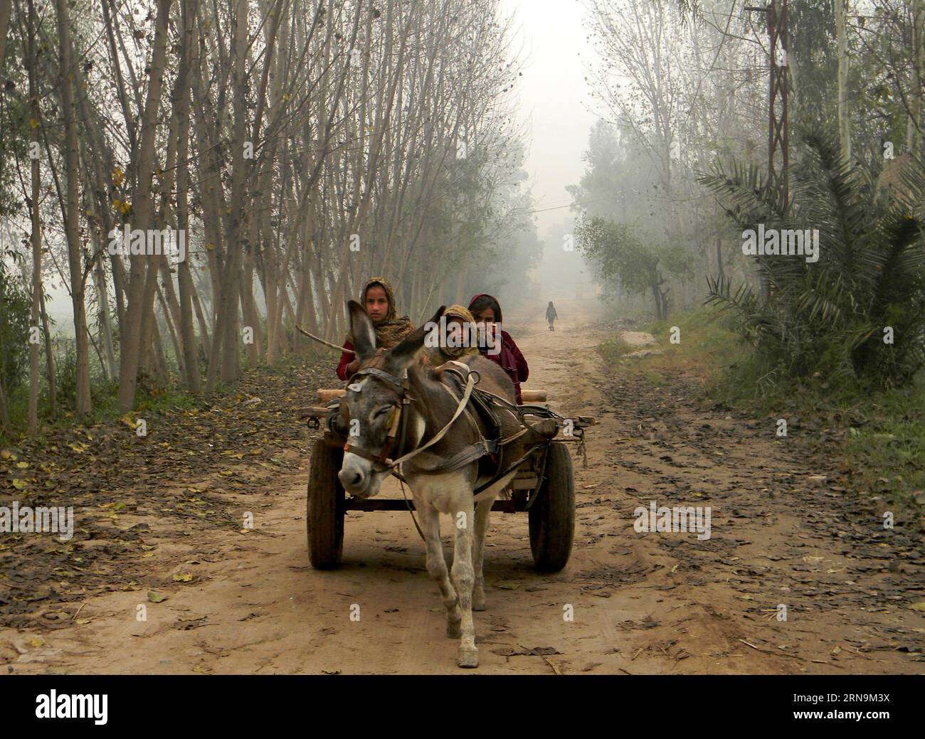 (151211) -- PESHAWAR, Dec. 11, 2015 -- Pakistani children ride on a ...