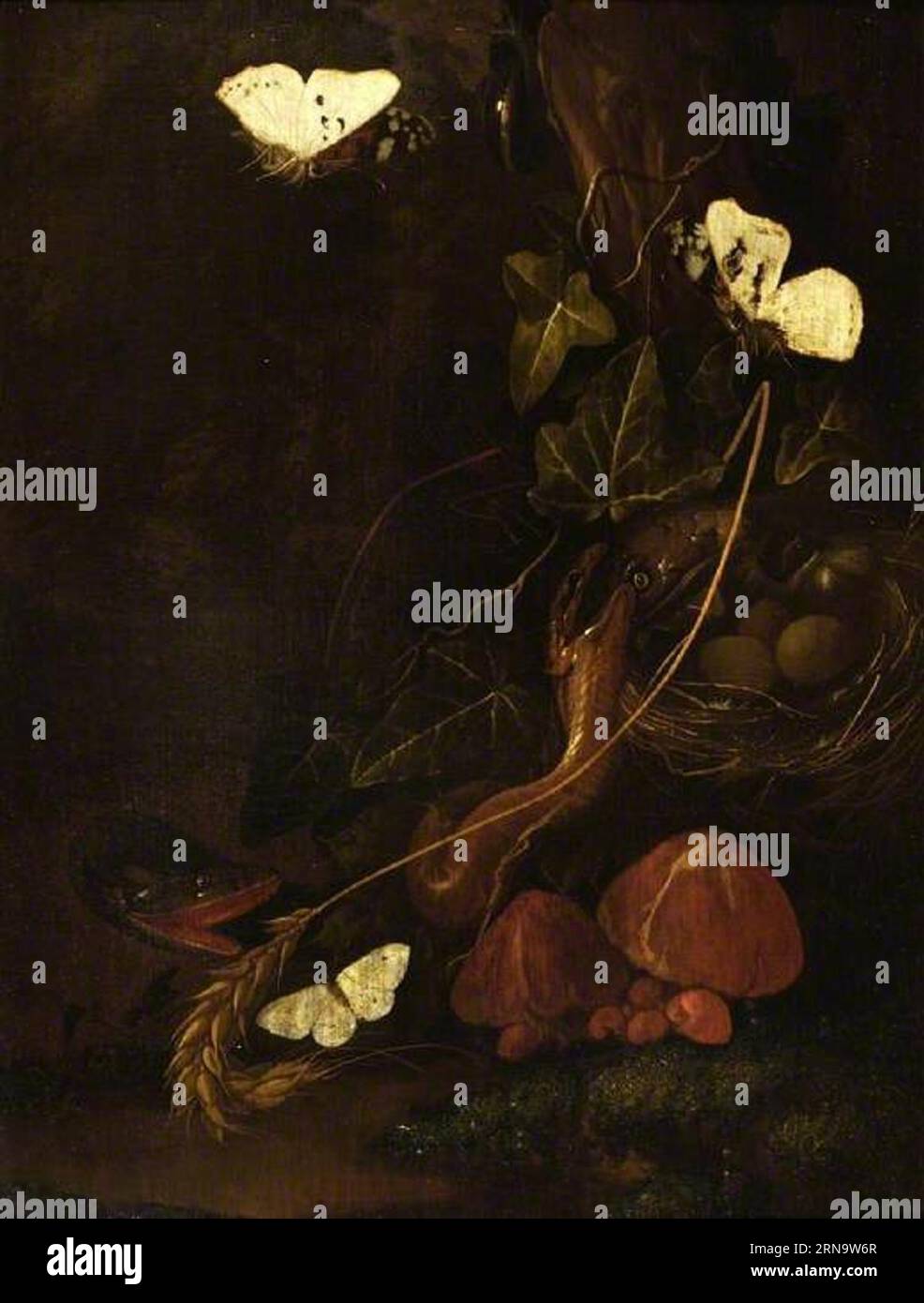 Ivy, with bird's nest, snakes and moths by Karl Wilhelm de Hamilton ...