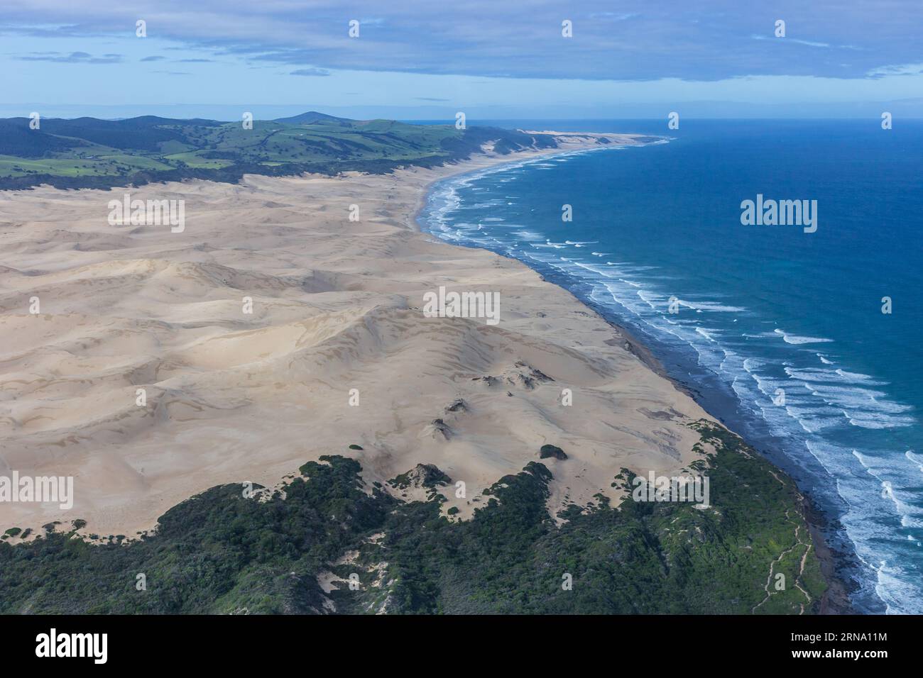 The Woody Cape Beach and Nature Reserve is a conservation area in the ...