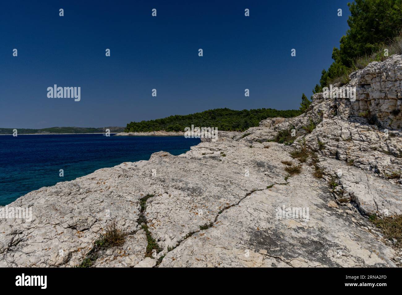 Pebble beach vacation on the Adriatic Sea in Pula Istria Kamenjak in ...