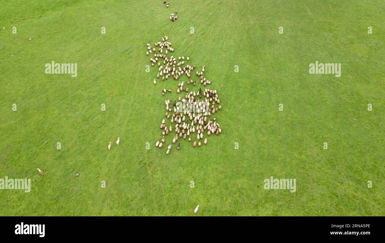 Aerial landscape shot farmer cattle hi-res stock photography and images ...